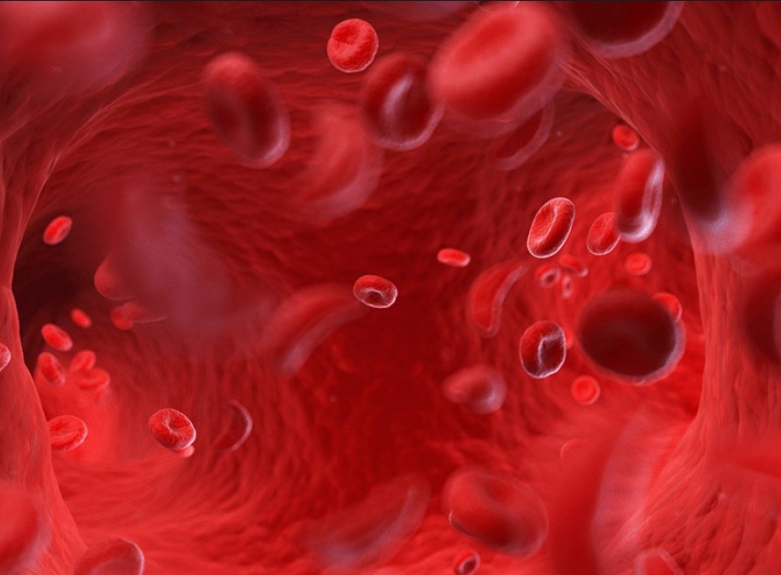 LÚPUS: A raridade da doença em homens e sua gravidade - Rondoniaovivo.com