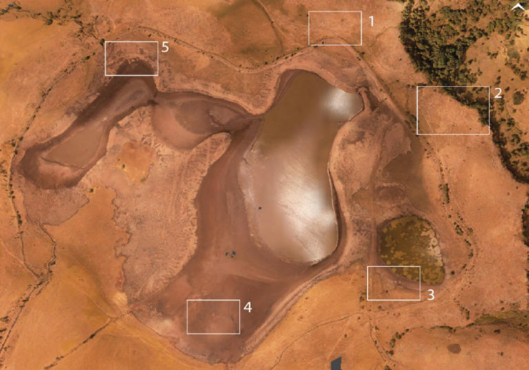 MISTÉRIO MILENAR: Tabuleta encontrada na Geórgia intriga com língua ...